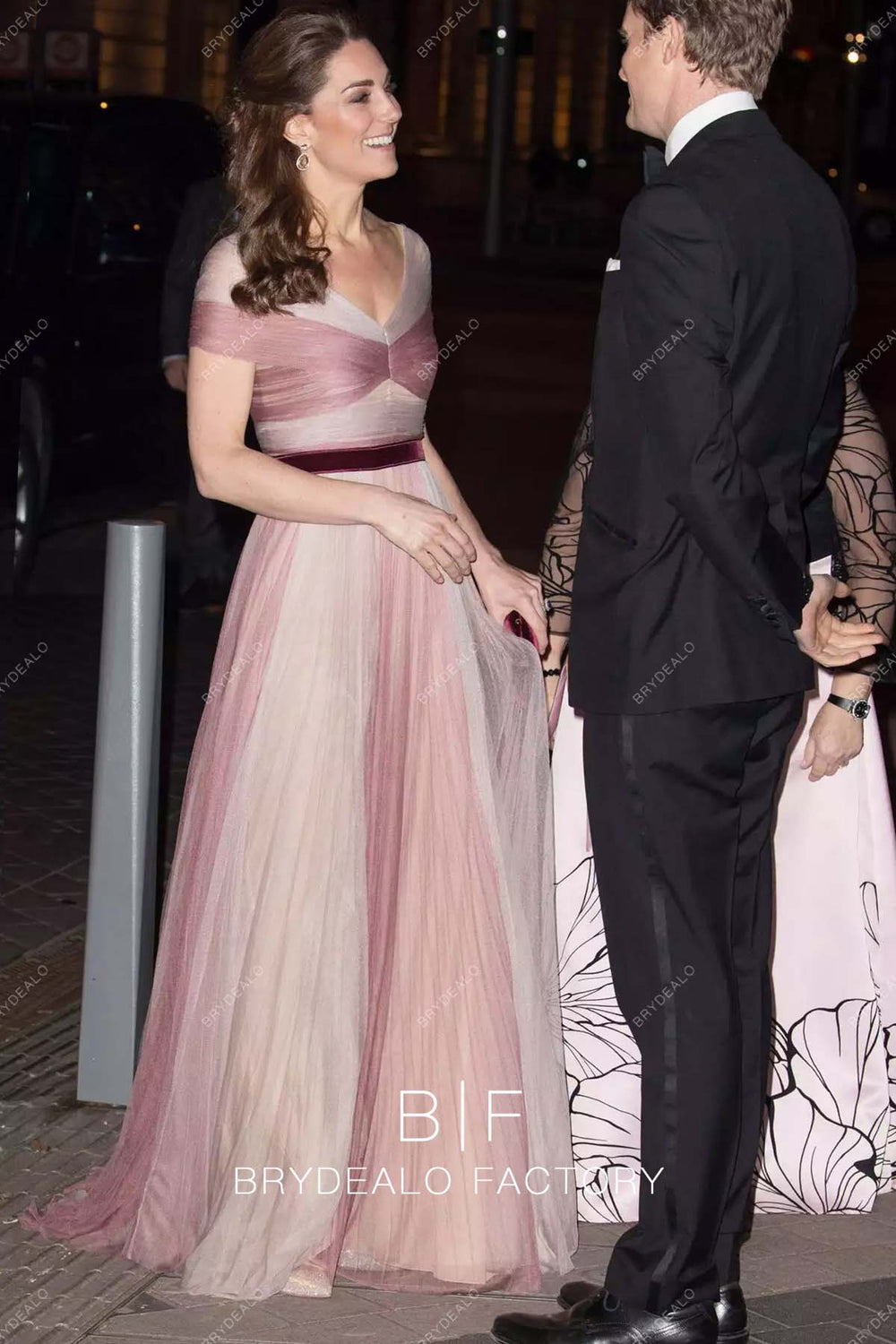 Kate Middleton Pink V-neck A-line Long Celebs Evening Prom Dress