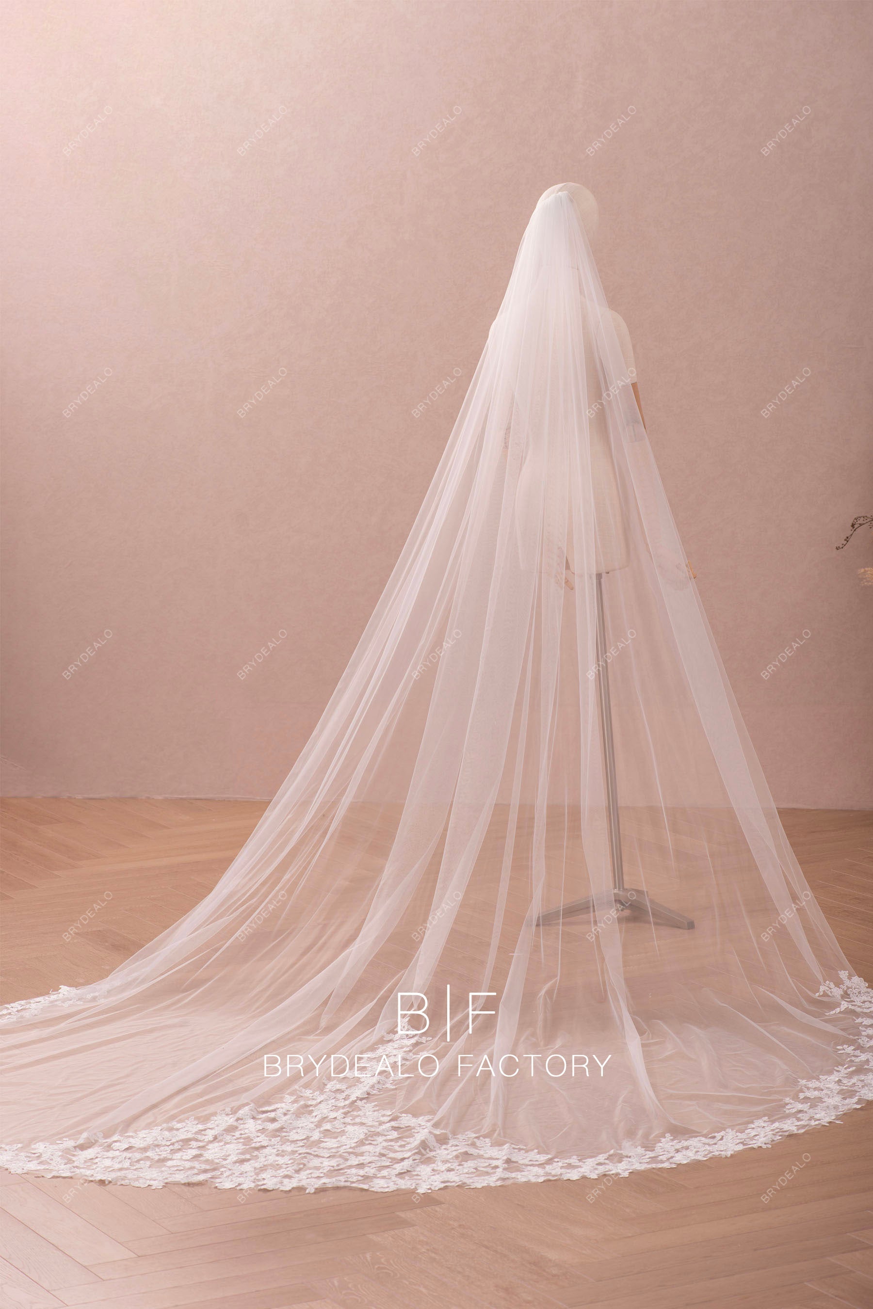 Beautiful Cathedral Length Tulle Lace Edging One Tier Long Bridal Veil